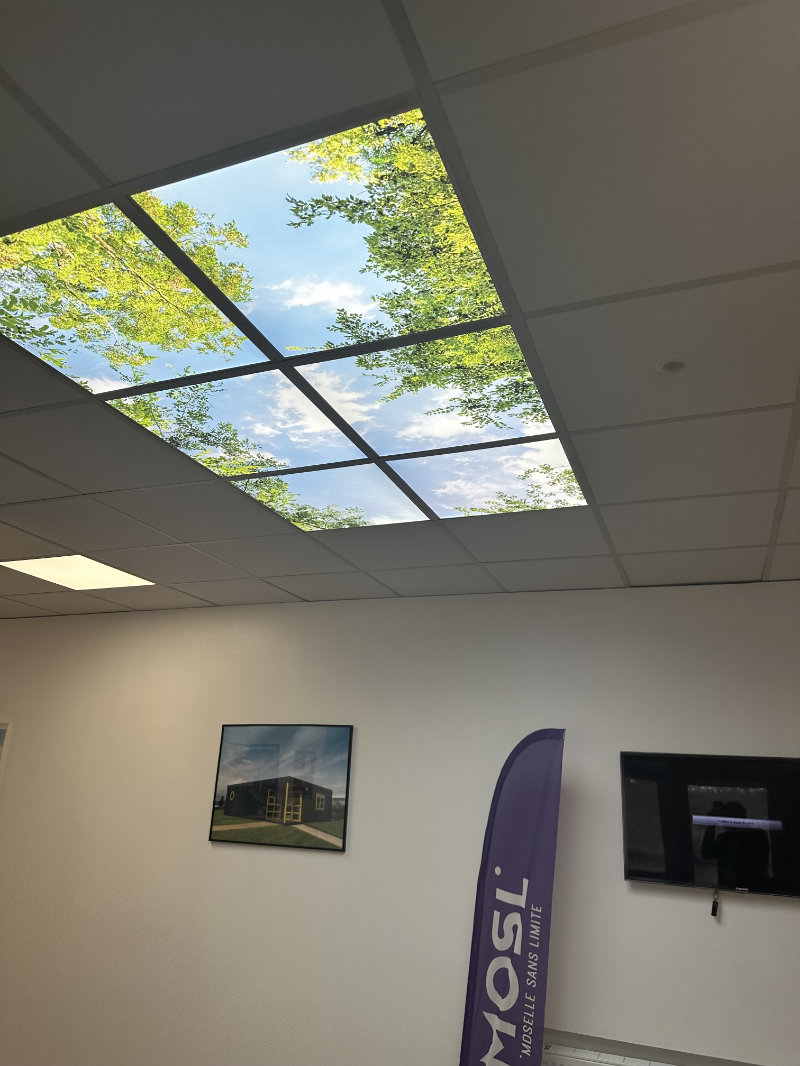 Module Spacio RE2020 avec murs à ossature Bois